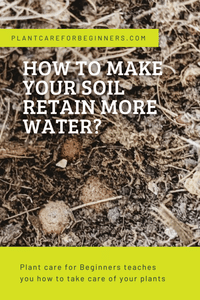 How to make your soil retain more water? - Plant care for Beginners
