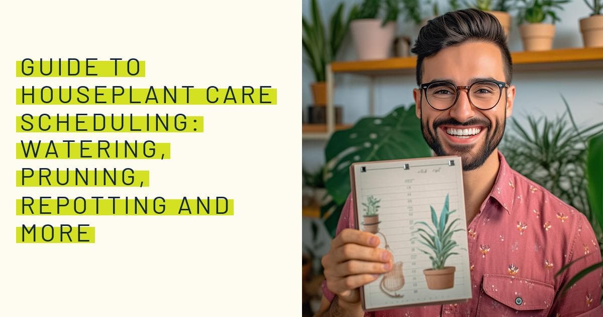 Guide to Houseplant Care Scheduling: Watering, Pruning, Repotting and More