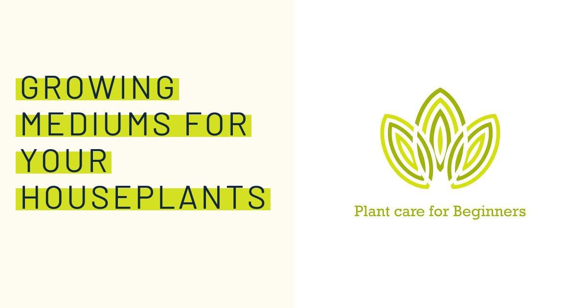 Growing mediums for your Houseplants