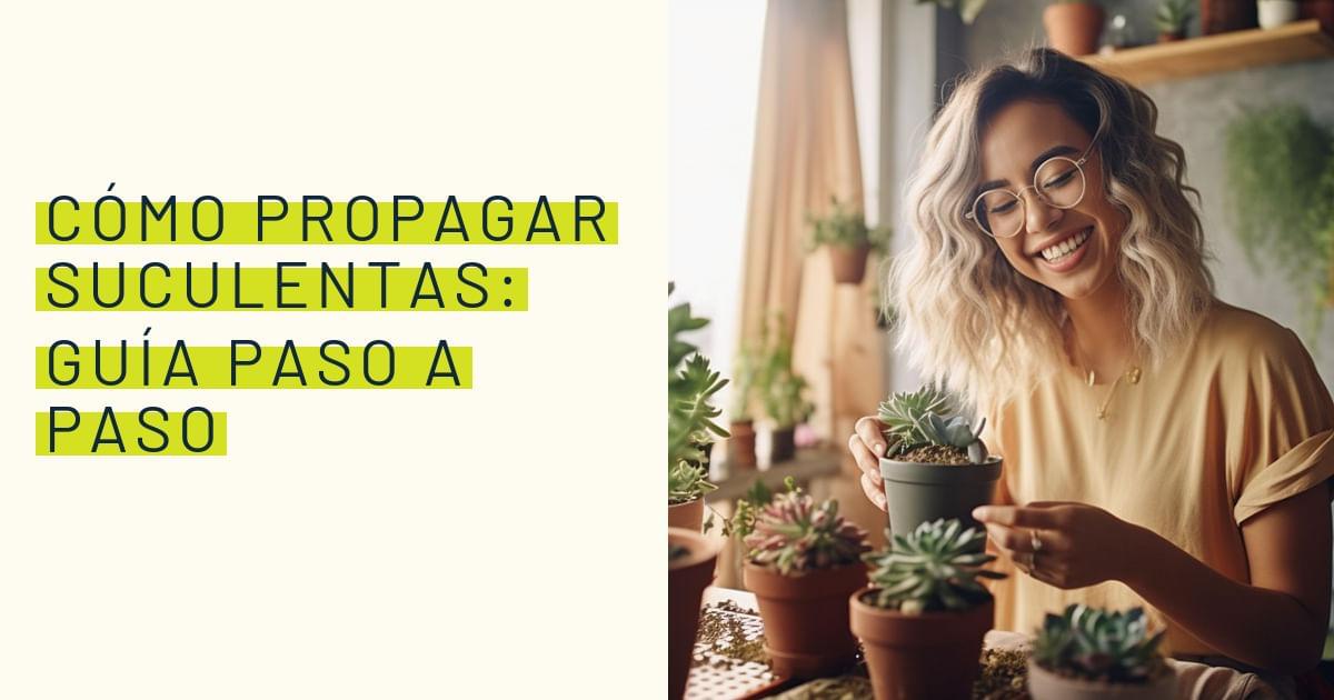 Cómo propagar suculentas: guía paso a paso