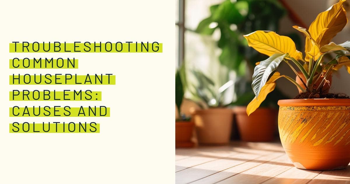 Troubleshooting Common Houseplant Problems: Causes and Solutions