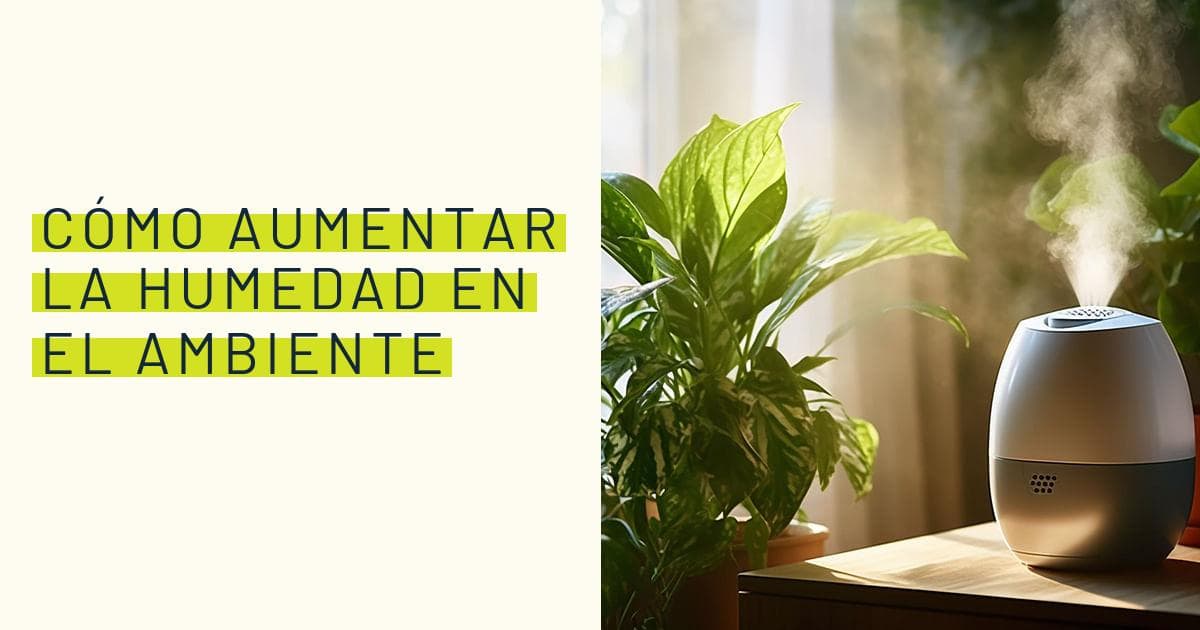 Cómo aumentar la humedad en el ambiente