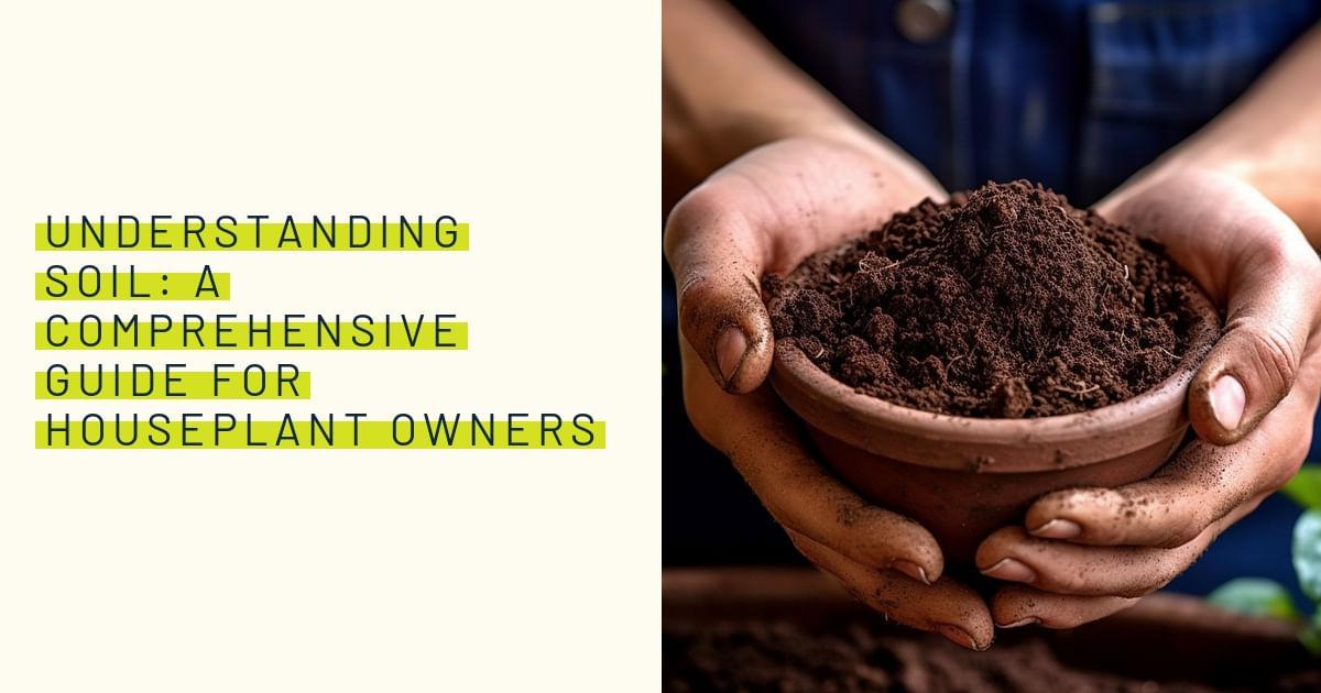 Understanding Soil: A Comprehensive Guide for Houseplant Owners