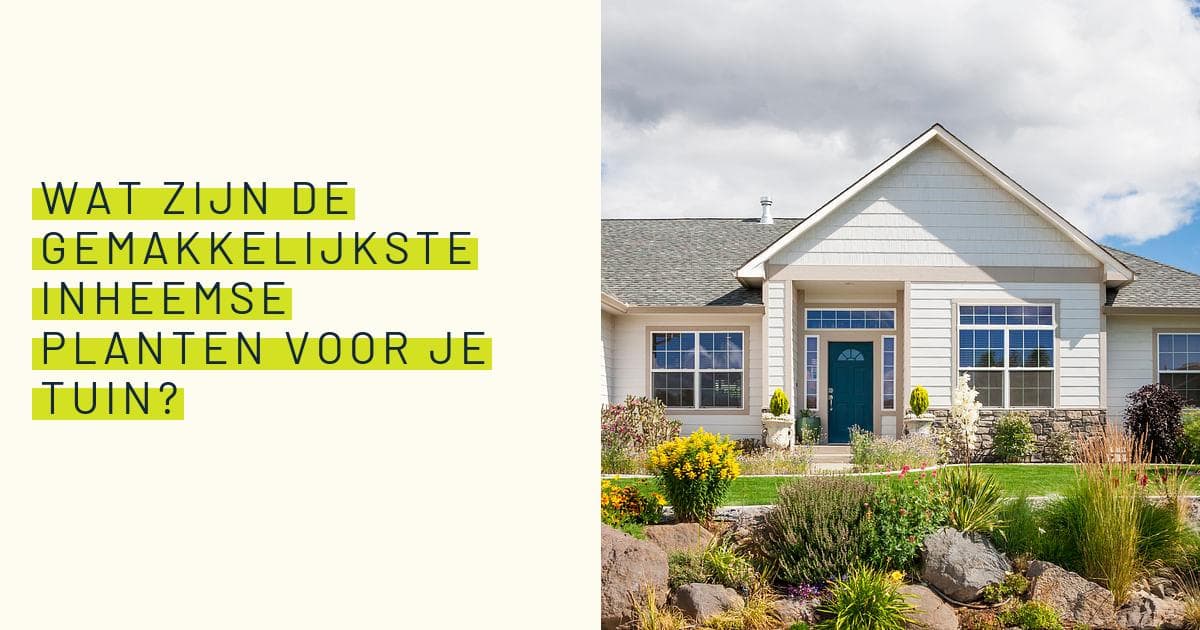Wat zijn de gemakkelijkste inheemse planten voor je tuin?